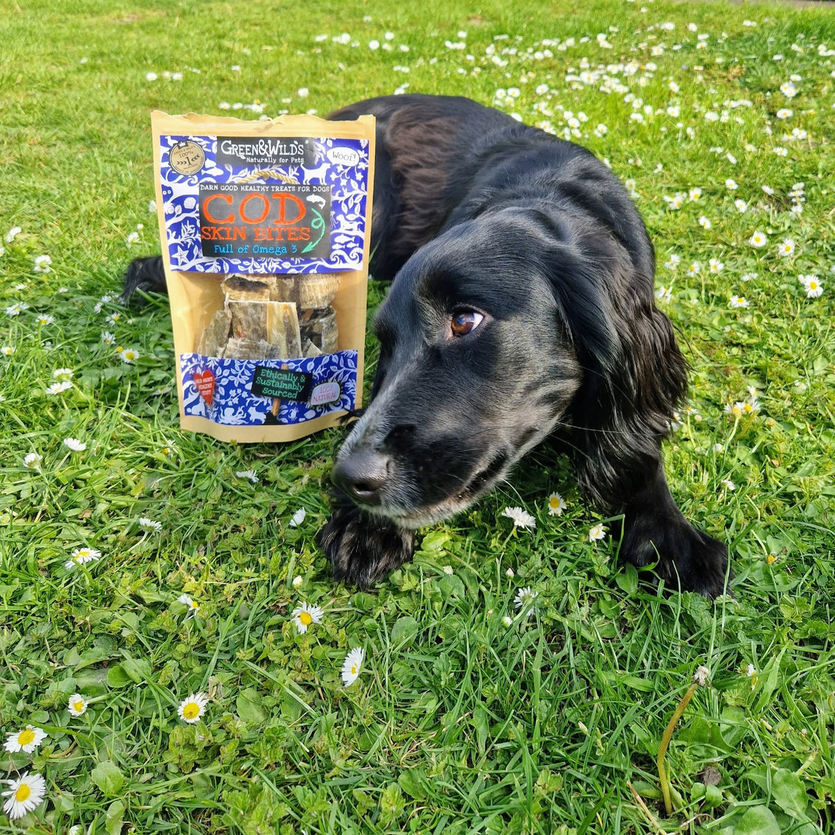 Cod Skin Bites Natural Low Fat Dog Treats Green Wilds The Little Pet Biscuit Company
