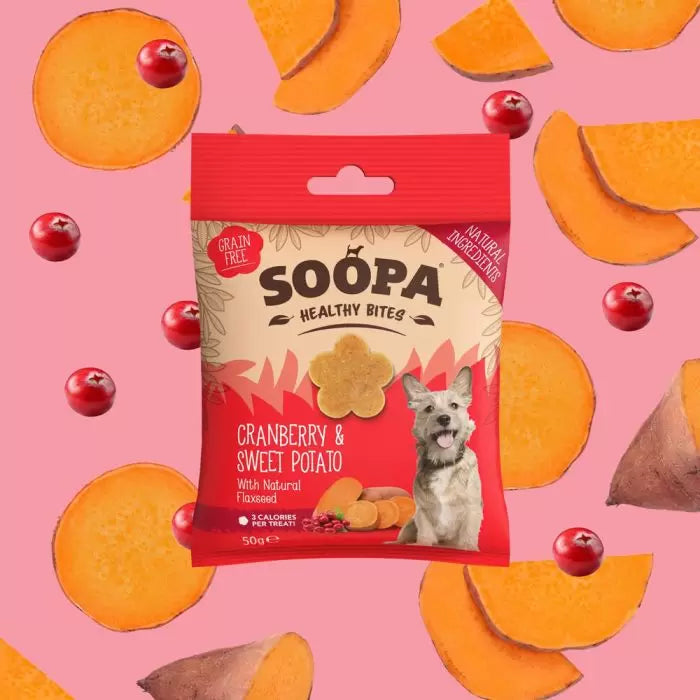 Healthy dog treats store